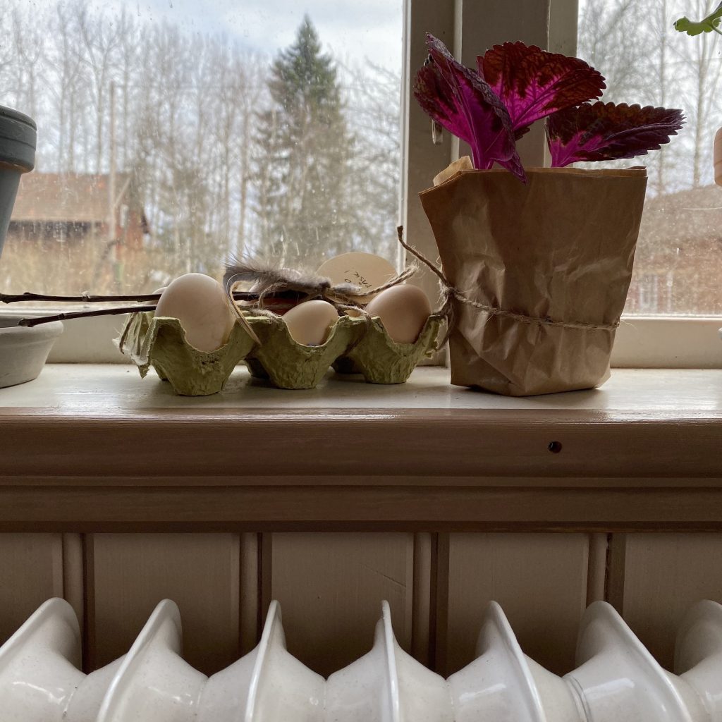 Ruckel och rödfärg