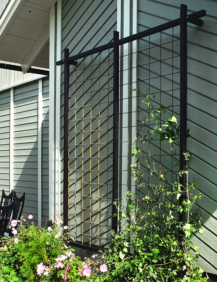 Trä, hops och kärlek | David & Sandra | Spaljé - för klättrande växter ...